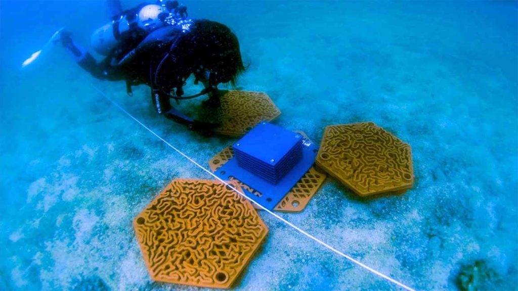 These 3D-printed reef tiles double as a home for marine life